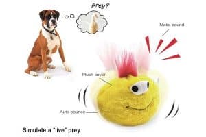 7 Best Moving Dog Toys That’ll Keep Your Pup Entertained – Anything ...