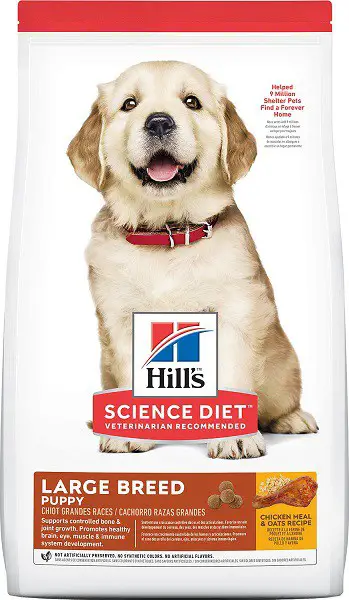 Best Dog Food for Labrador Retrievers: Our Top Pick! (and Why ...