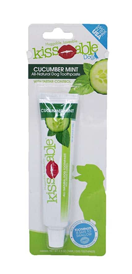 Buyer’s Guide Best Dog Toothpaste – Anything Labrador