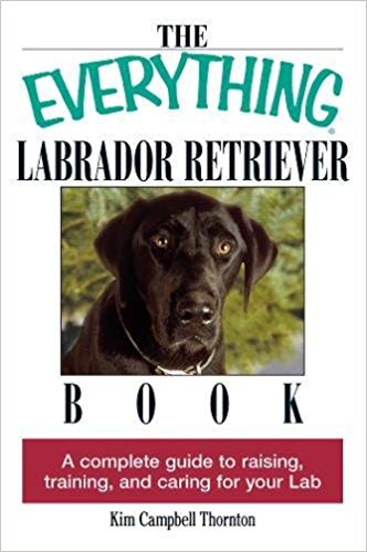 Best Labrador Retriever Training Books – Anything Labrador