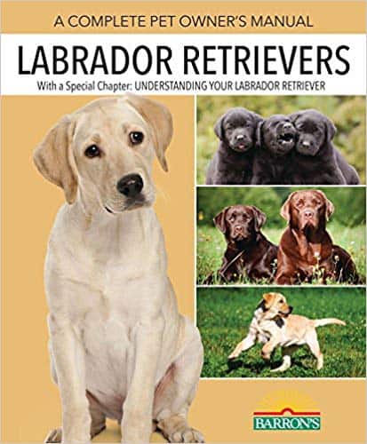 Best Labrador Retriever Training Books – Anything Labrador
